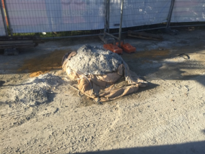 The Trouble with Concrete Washout Bags - PumperDump